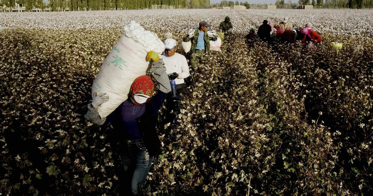 US blocks imports of Xinjiang ‘slave labor’ cotton - FAMOUS REPORTERS